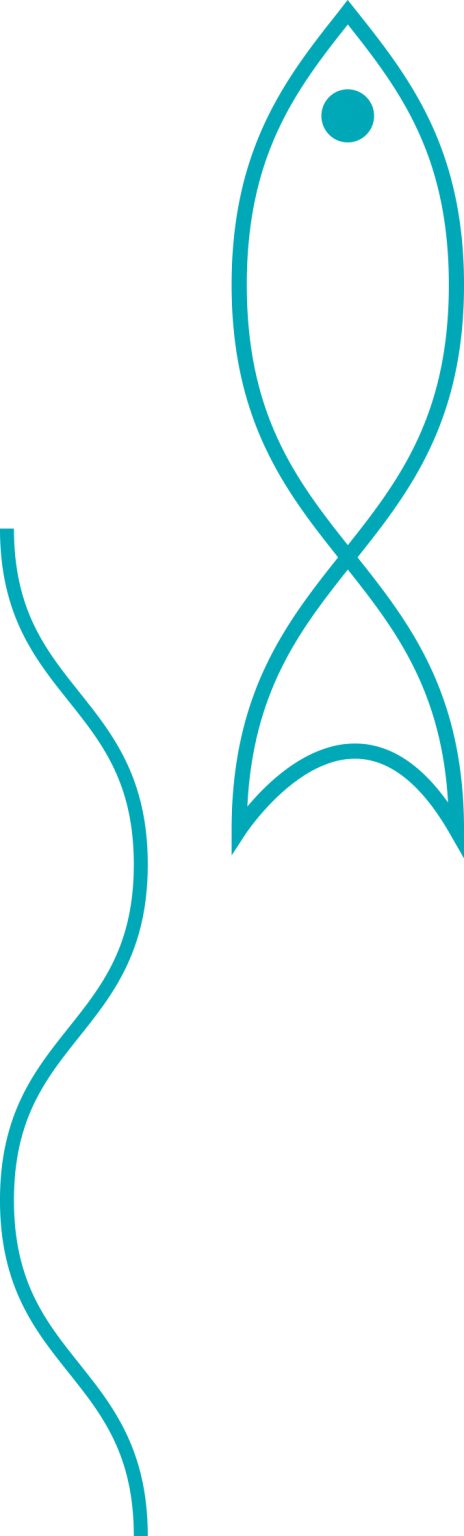 What we do - Fishway