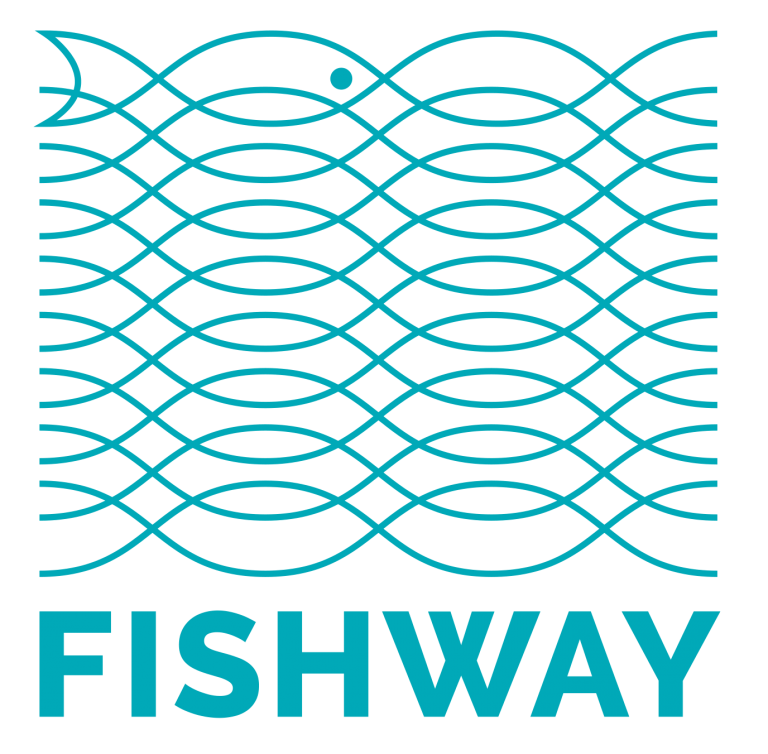 What we do - Fishway